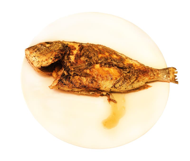 Sparus aurata fried stock photo. Image of dinner, ingredient - 75016492