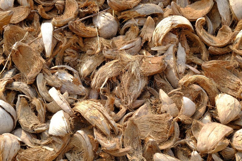 Spathe of Coconut Background. Stock Image - Image of heap, background ...