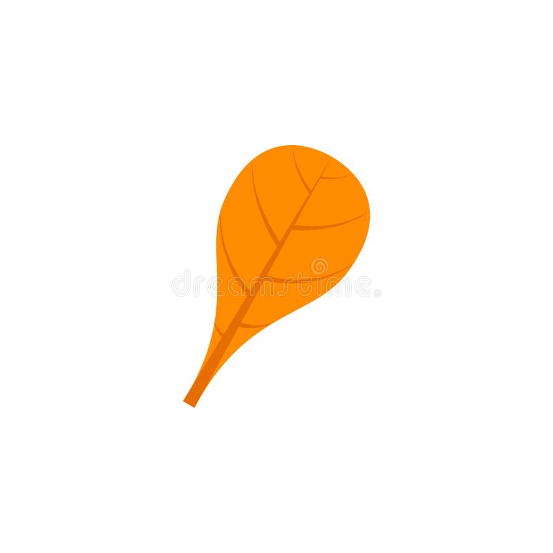 Spathulate Stock Illustrations – 15 Spathulate Stock Illustrations ...