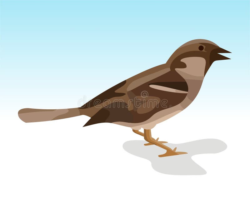 Spatz Stock Illustrationen, Vektoren, & Kliparts - 11,716 Stock ...