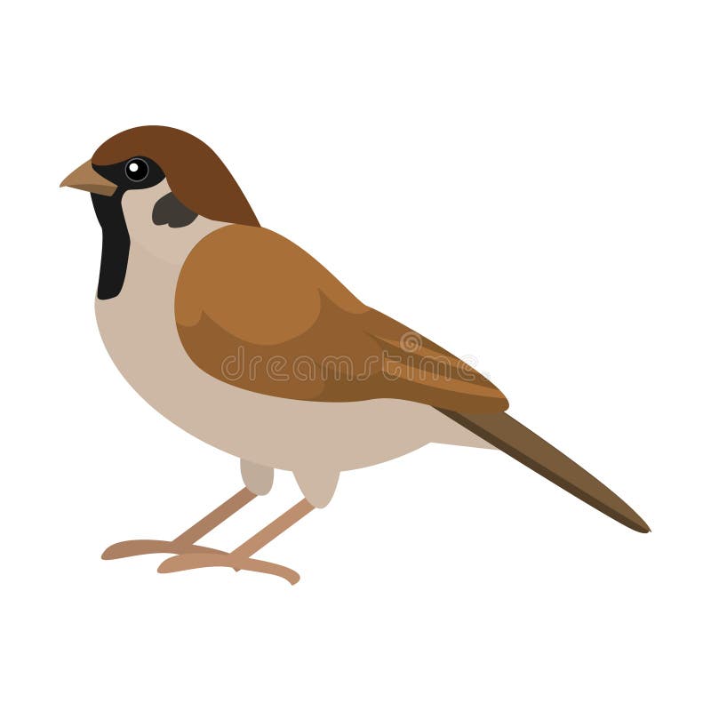 Spatz Stock Illustrationen, Vektoren, & Kliparts - 14,126 Stock ...