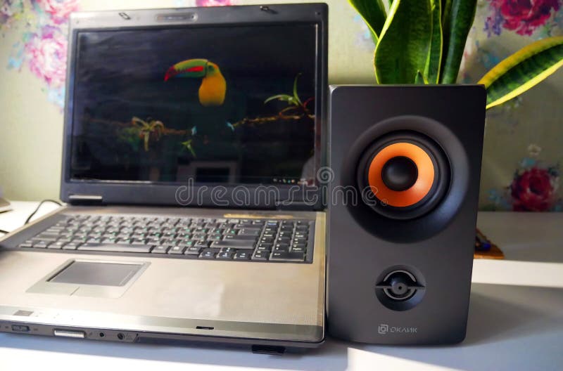 Speakers for a Personal Computer. Installed Audio System on the Desktop ...