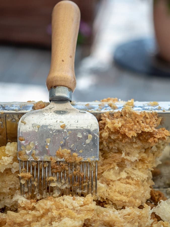 Special Beekeeping Tool - Fork for Uncapping Honeycomb. Stock Image ...