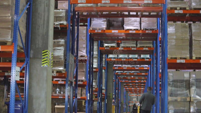 Special Equipment in the Warehouse of the Factory. Modern Loaders in a ...