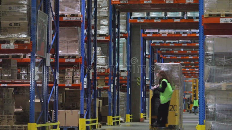 Special Equipment in the Warehouse of the Factory. Modern Loaders in a ...
