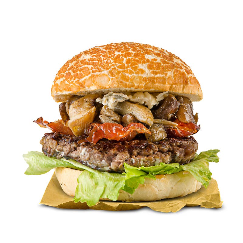 Special Hamburger isolated stock image. Image of food - 267766709