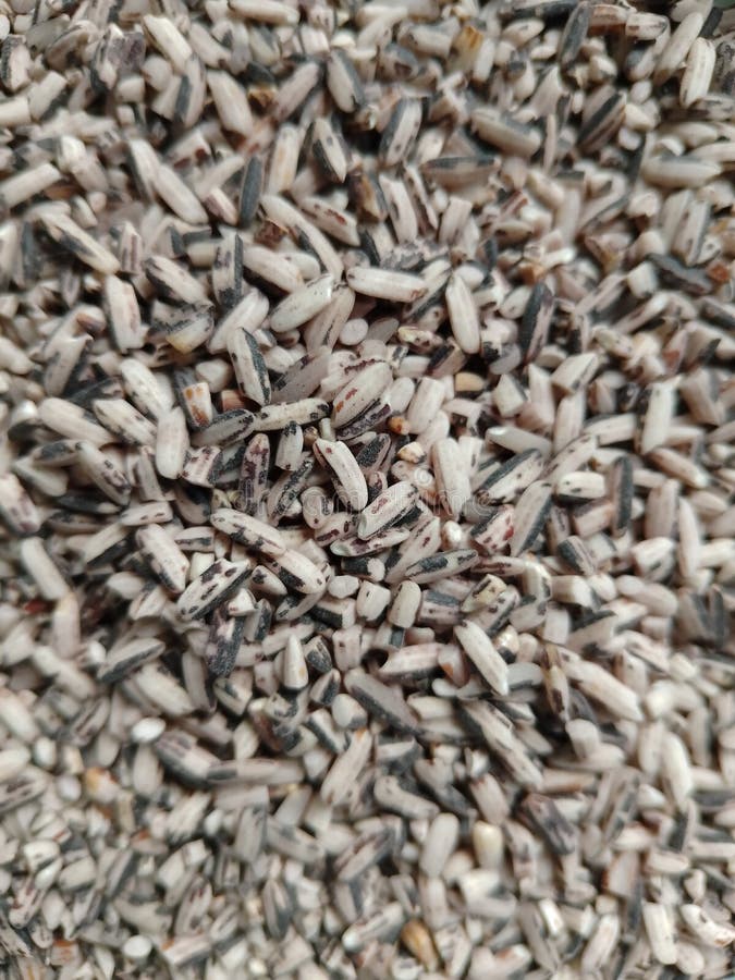 The Special Ingredient is Black Glutinous Rice Stock Image - Image of ...