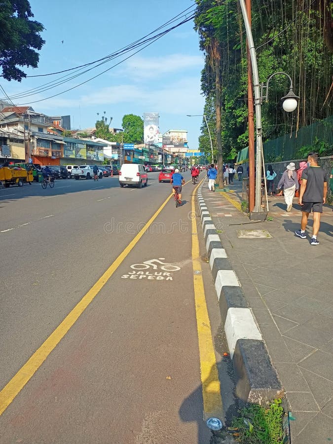 Special Lane in the City with BTS Sky Train Violet Line Under ...