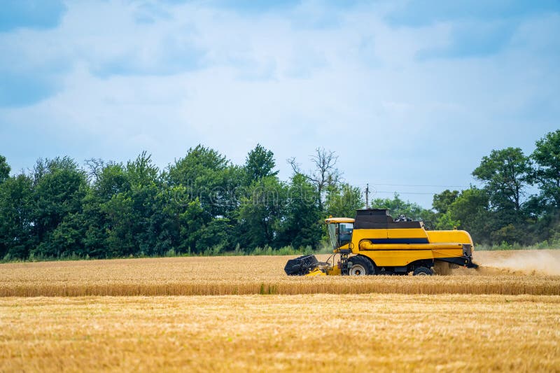 Special Machine Harvesting Crop in Fields, Agricultural Technic in ...