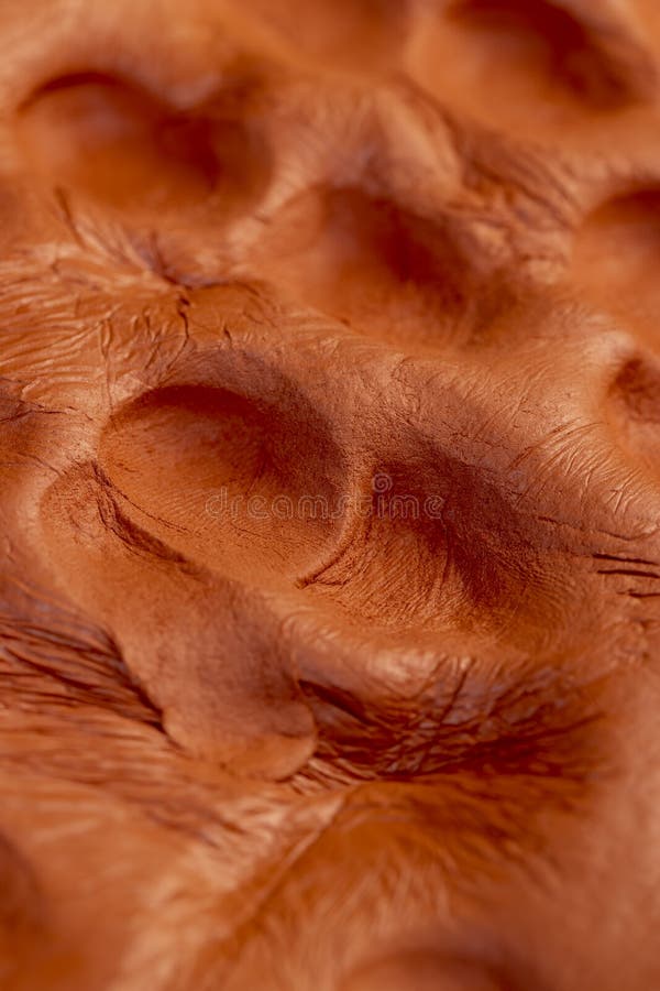 A Special Paste with the Addition of Orange Clay for Creativity and ...