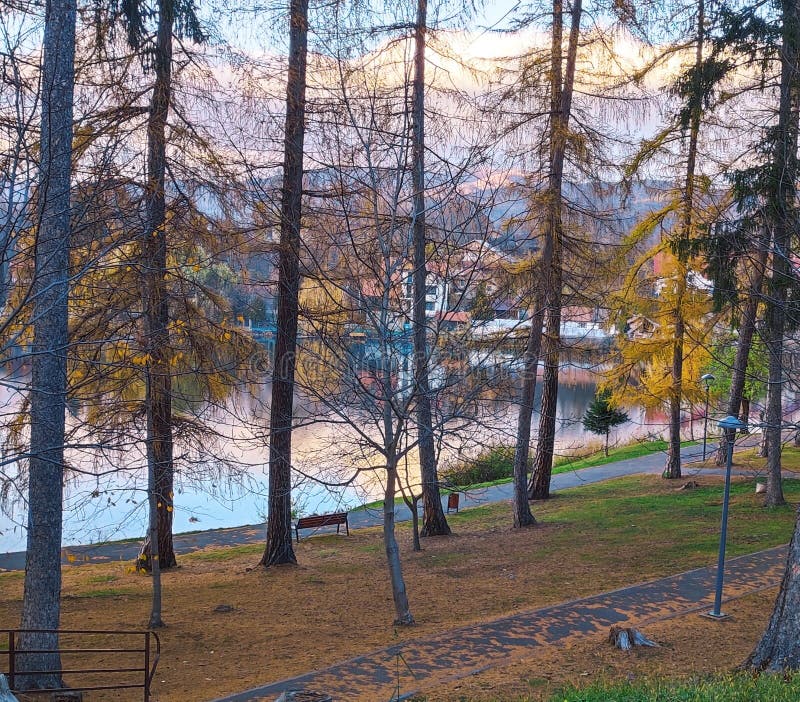 Special Places in Prahova County Stock Image - Image of trees, special ...