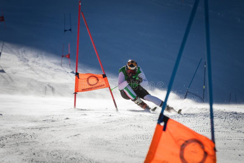 Special slalom competition stock photo. Image of mountain - 173856542