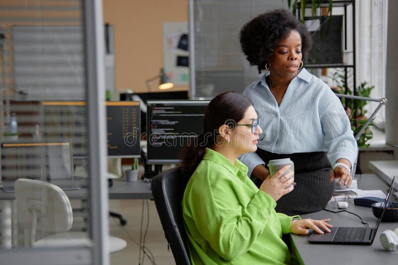 It Specialist Assisting Trainee with Coding Project Stock Photo - Image ...