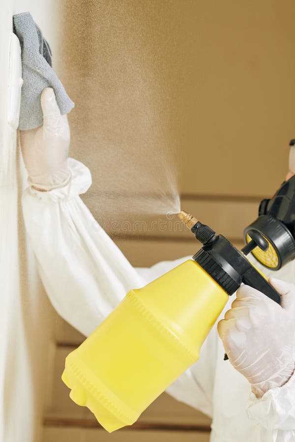 Specialist Cleaning Light Switch Stock Image - Image of flooring ...