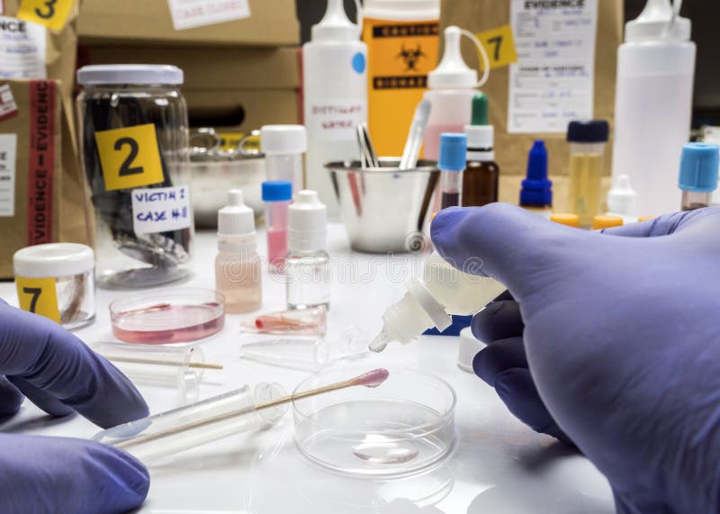 Specialized Criminalistic Police Performs Hematological Analysis with ...