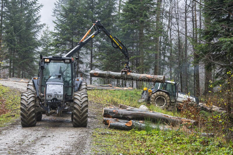 A Specialized Forest Tractor Working with Logging in the Rain in the ...