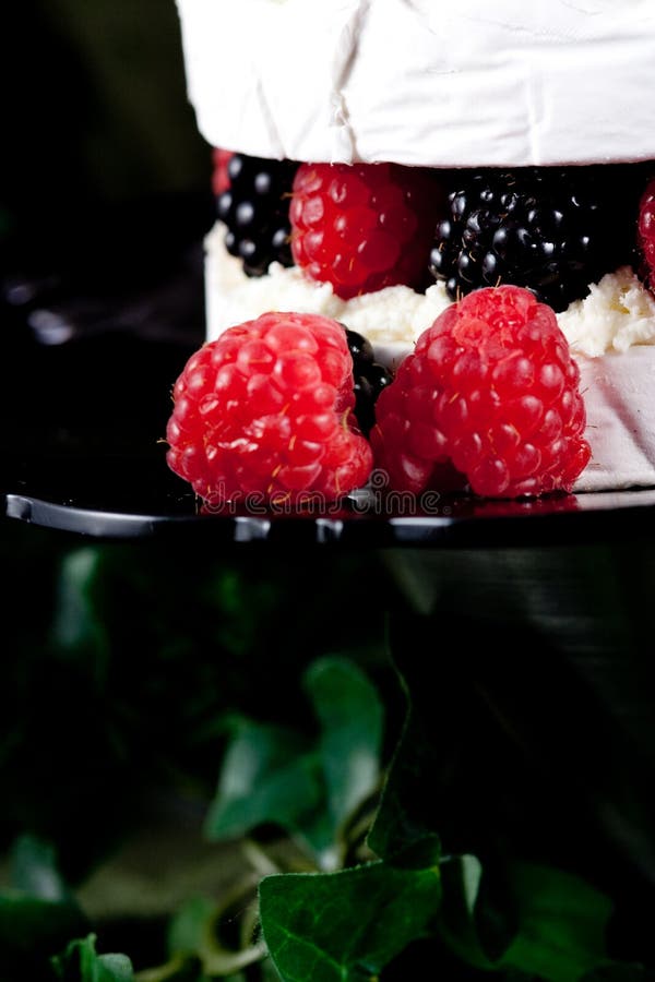 Specialty cheese brie cake stock photo. Image of dairy - 21905374