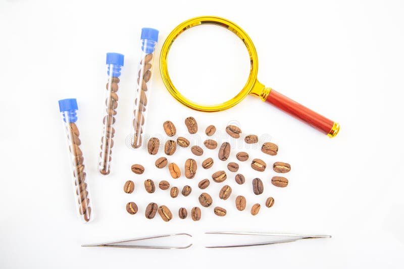 Specialty Coffee Grading and Selection Coffee Beans in Laboratory Test ...