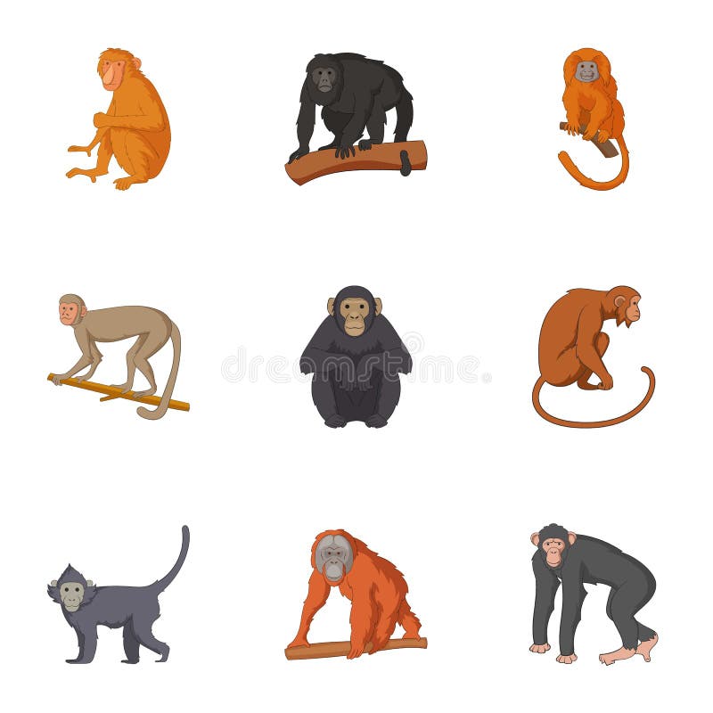 Rhesus Monkey Stock Illustrations – 147 Rhesus Monkey Stock ...