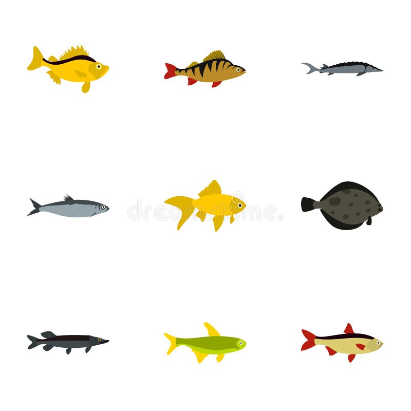 Species of Fish Icons Set, Flat Style Stock Vector - Illustration of ...