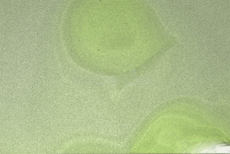 Specific Background with Green Colors and Filter Light and Shadow Stock ...