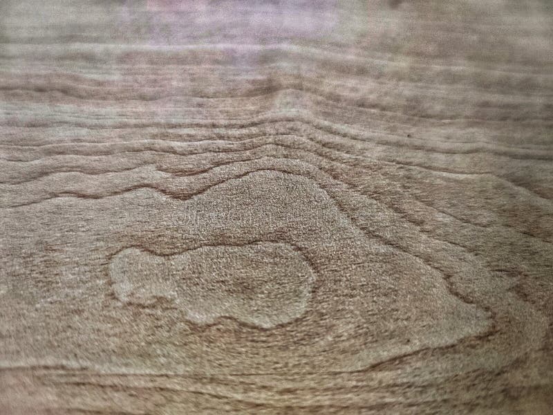 Specific Wood Fiber Tree on the Table Stock Image - Image of wood ...