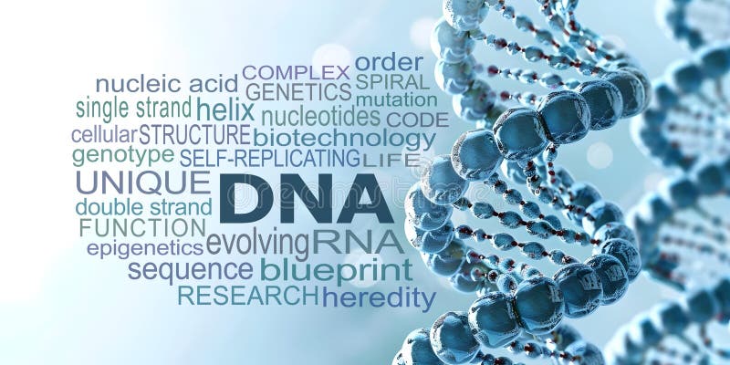 Dna Word Stock Illustrations – 1,626 Dna Word Stock Illustrations ...