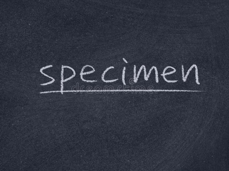 305 Word Specimen Stock Photos - Free & Royalty-Free Stock Photos from ...