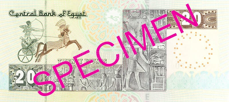 20 Egyptian Pound Bank Note Reverse Stock Photo - Image of bank ...