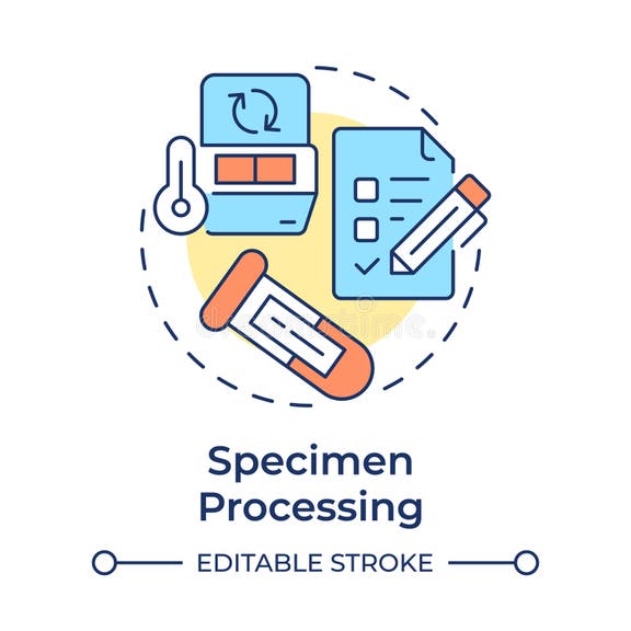 Specimen Processing Multi Color Concept Icon Stock Vector ...