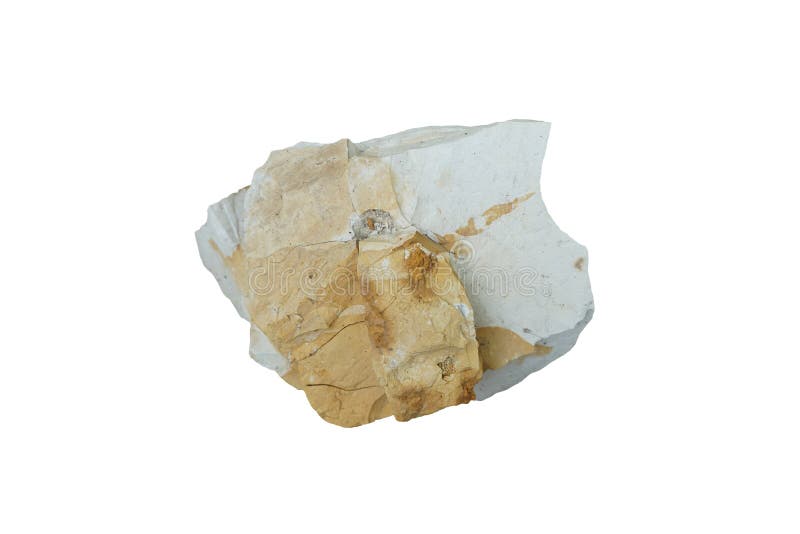 Specimen of Sand Shale Rock Isolated on White Background. Stock Photo ...