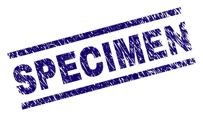 Scratched Textured SPECIMEN Stamp Seal Stock Vector - Illustration of ...