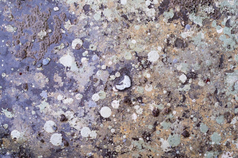 Speckled Background With Spots Of Different Paint Stock Photo - Image ...