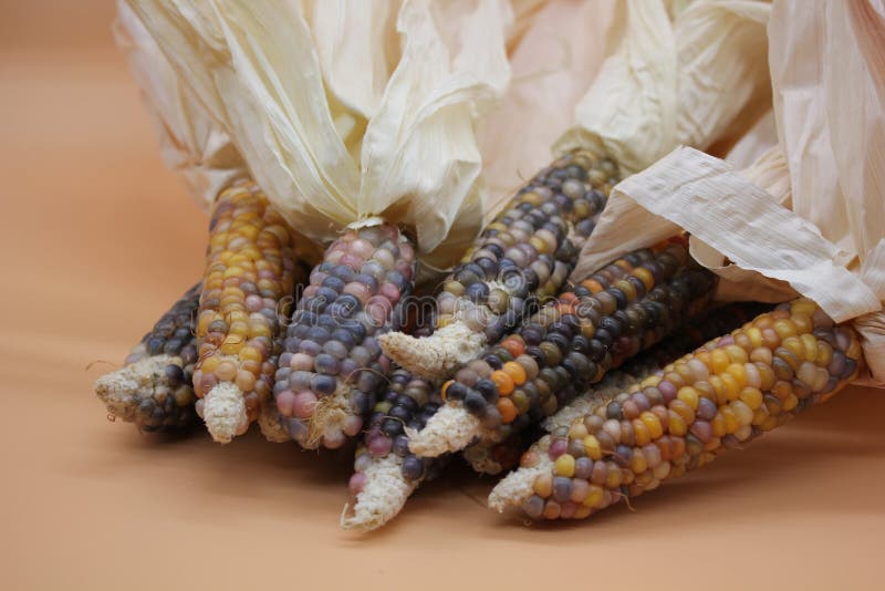 191 Speckled Corn Stock Photos - Free & Royalty-Free Stock Photos from ...