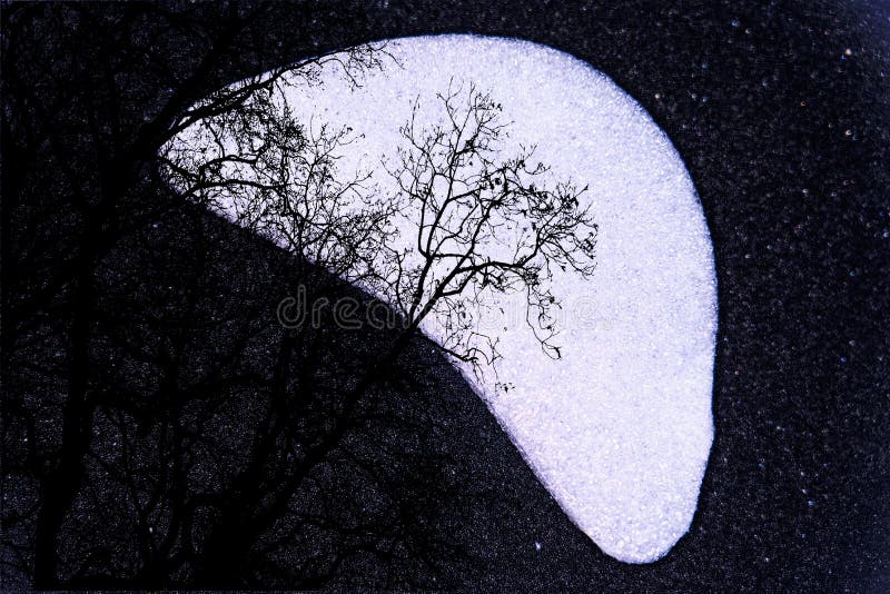 Speckled Crescent Moon Shape Behind Trees Stock Illustration ...