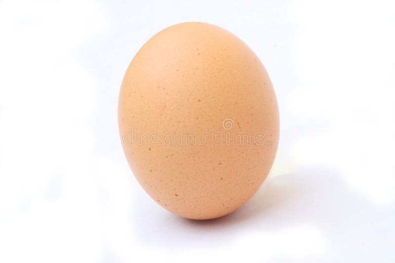 Single egg on white stock photo. Image of shell, protein - 583290