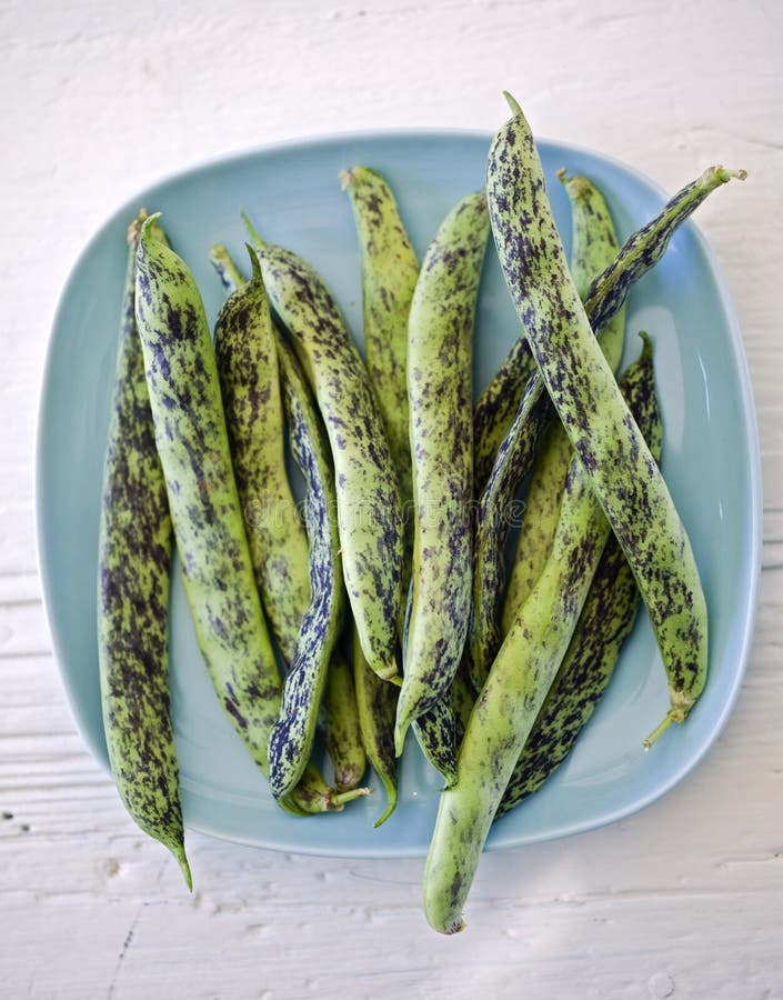 Speckled fresh beans stock image. Image of cooking, nutritious - 7361083