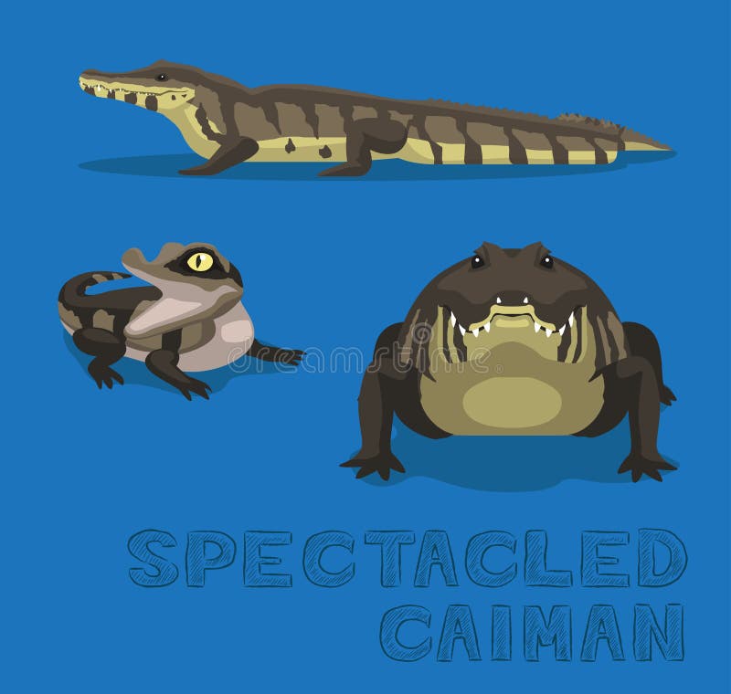 Spectacled Caiman Range