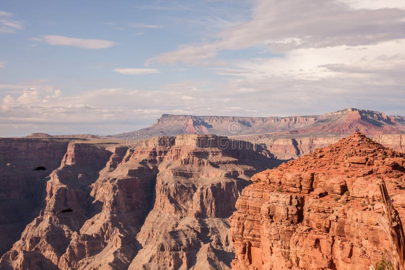 Spectacular and Breathtaking Grand Canyon Overlook Stock Image - Image ...