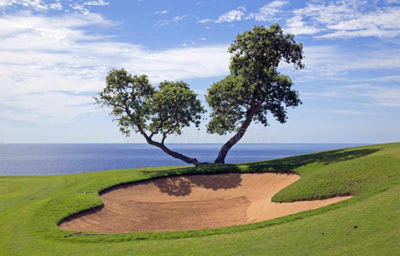 Spectacular golf course stock photo. Image of activity - 132347844