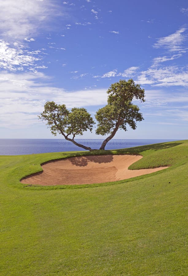 Spectacular golf course stock photo. Image of field - 132347932