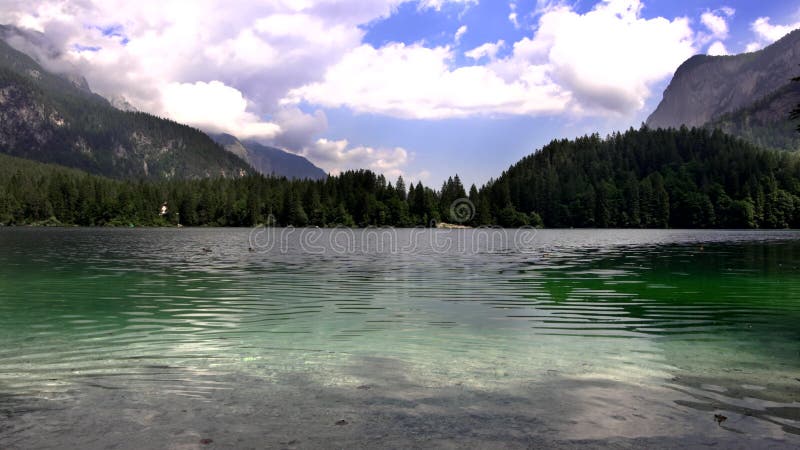 Spectacular Landscape on Lake Tovel Stock Footage - Video of mountains ...