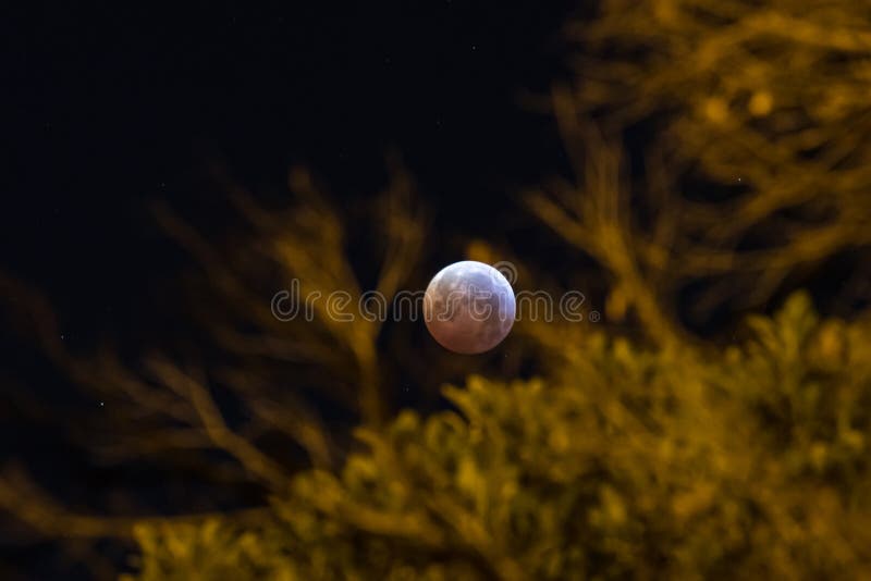 Spectacular Lunar Eclipse Over Valencia, Spain Stock Photo - Image of ...