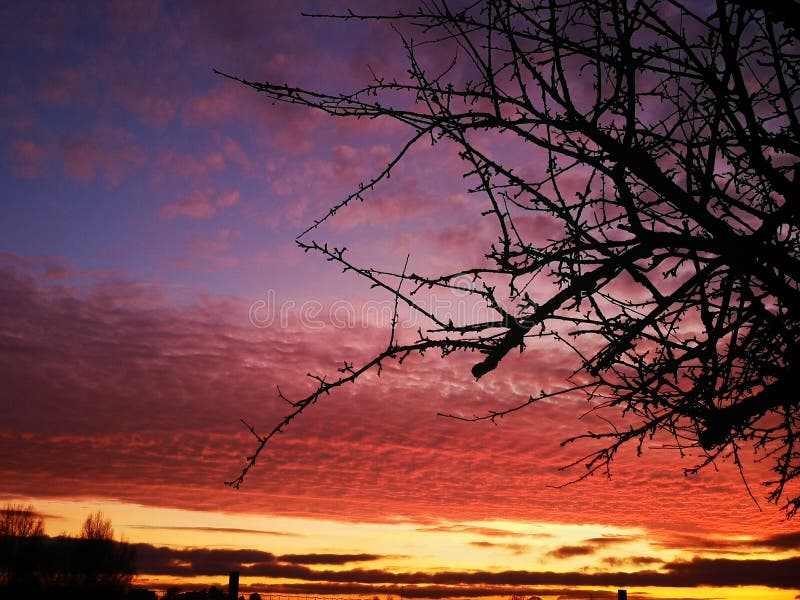 Spectacular Mystical Sunset Stock Image - Image of spectacular, blue ...