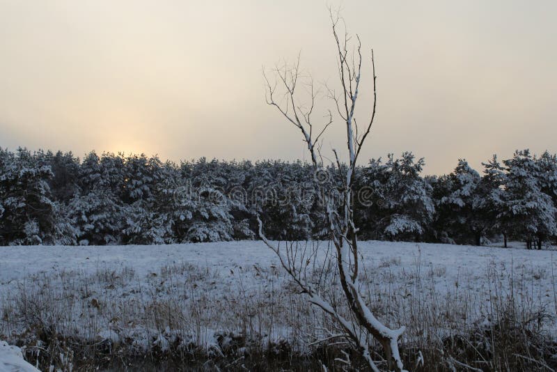 Spectacular Panorama is Opened on Mountains, Trees Covered with White ...