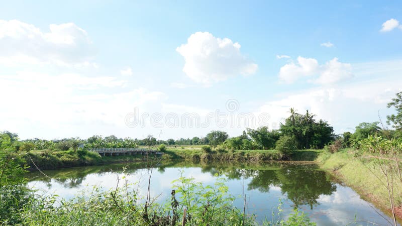 Spectacular Photos of the Pond and Sky Stock Image - Image of blue ...