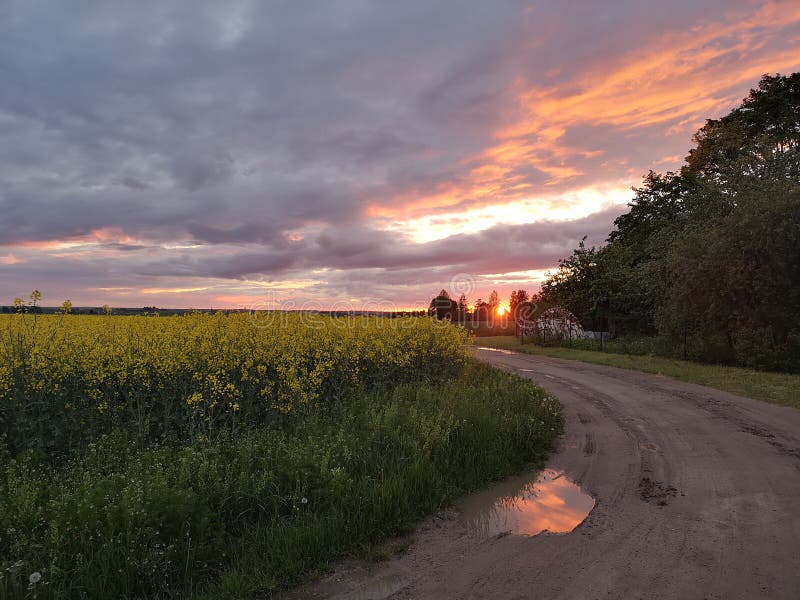 Spectacular Red Sunset with Mirror Reflection Stock Photo - Image of ...