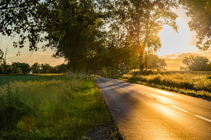 Spectacular Sunset on the Empty Forest Road Stock Photo - Image of ...
