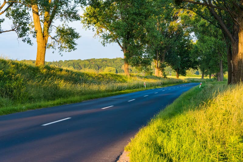 Spectacular Sunset on the Empty Forest Road Stock Photo - Image of ...