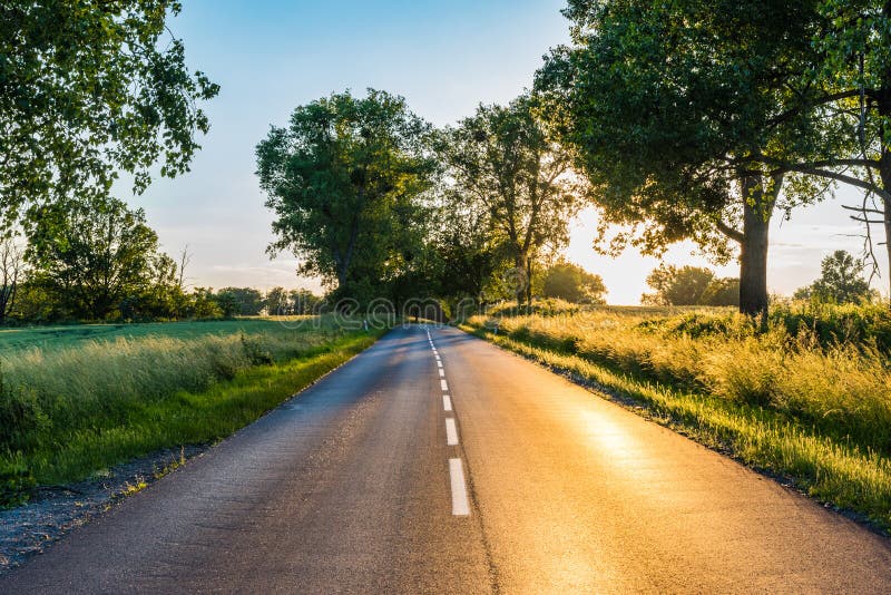 Spectacular Sunset on the Empty Forest Road Stock Photo - Image of ...